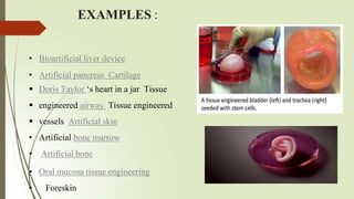 Artifical tissue and organs | PPTX