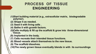 Artifical tissue and organs | PPTX