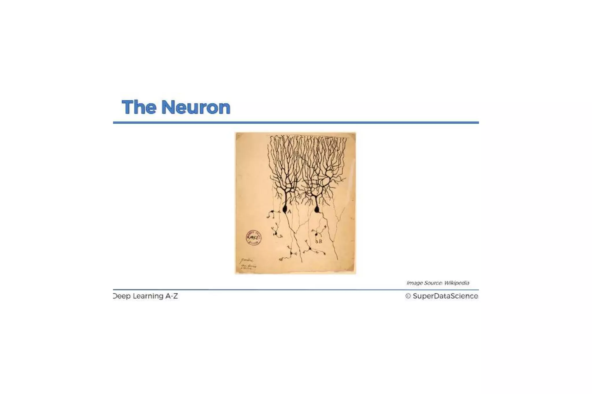 Artificial-Neural-Networks.pptx