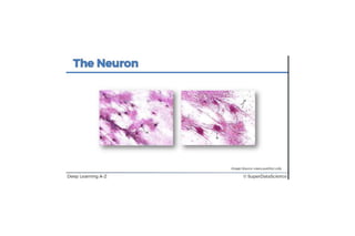 Artificial-Neural-Networks.pptx