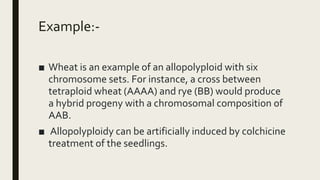 Artificial Allopolyploid & Colchicine Treatment.pptx