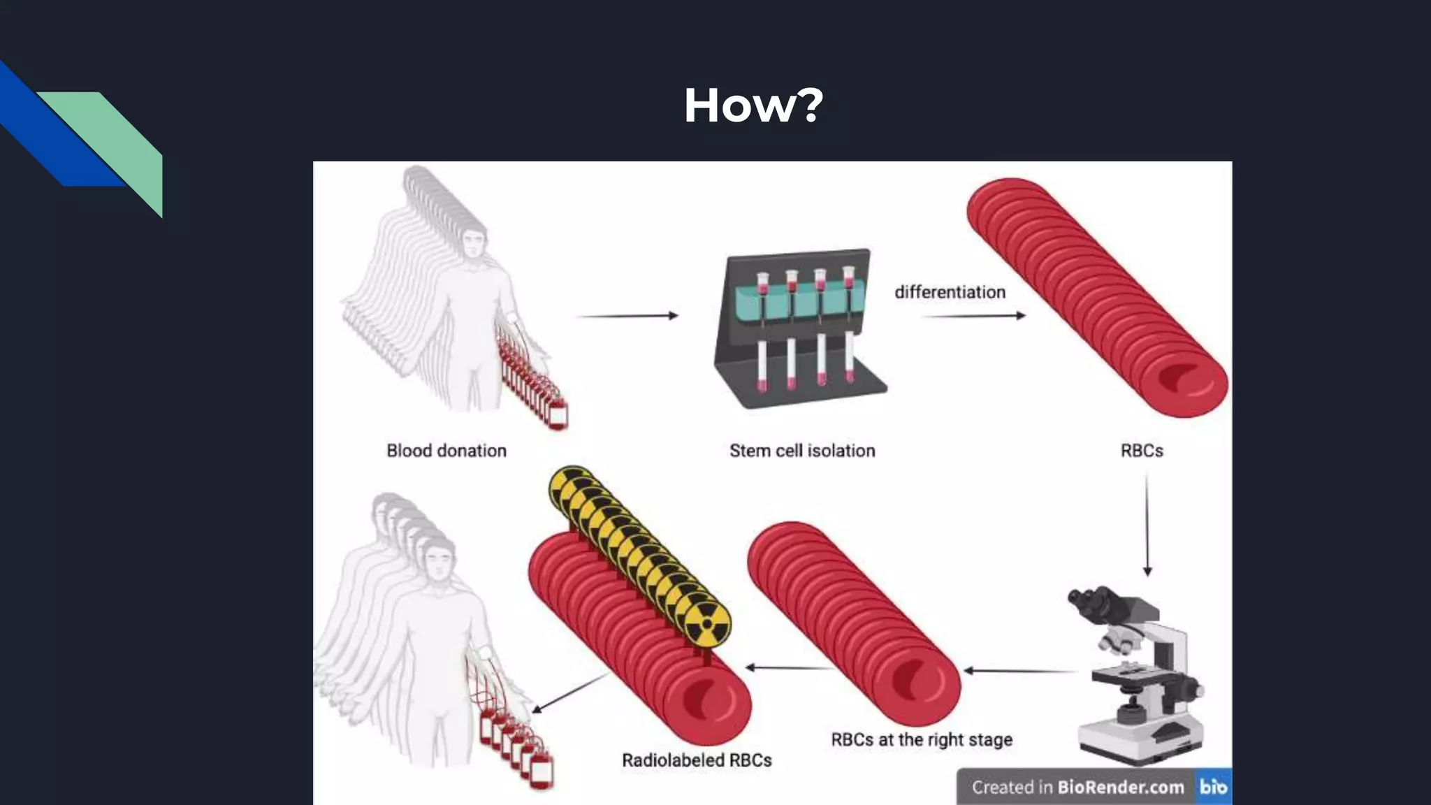 The first clinical trial of lab-grown blood from an allogeneic donor.pptx