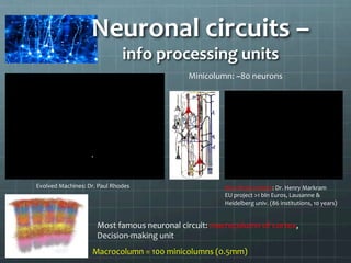 Artificial Brain - Overview 2013 | PPSX