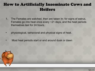 Artificial breeding methods | PPT