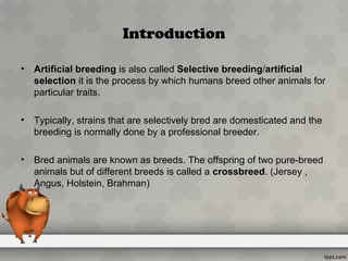 Artificial breeding methods | PPT