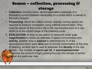 Artificial breeding methods | PPT