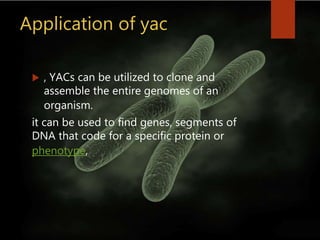 Artificial chromosome | PPTX