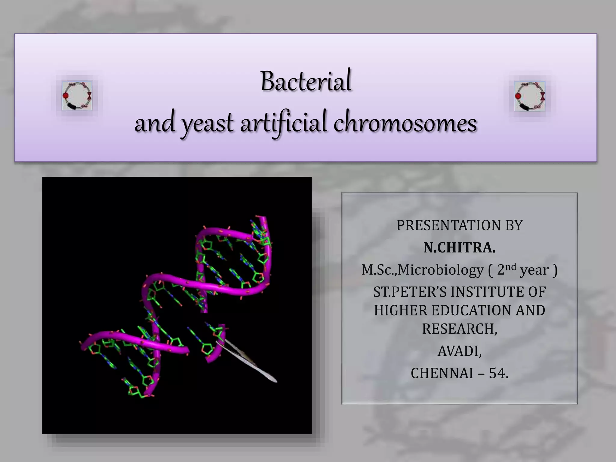 Artificial chromosomes - YAC and BAC | PPTX
