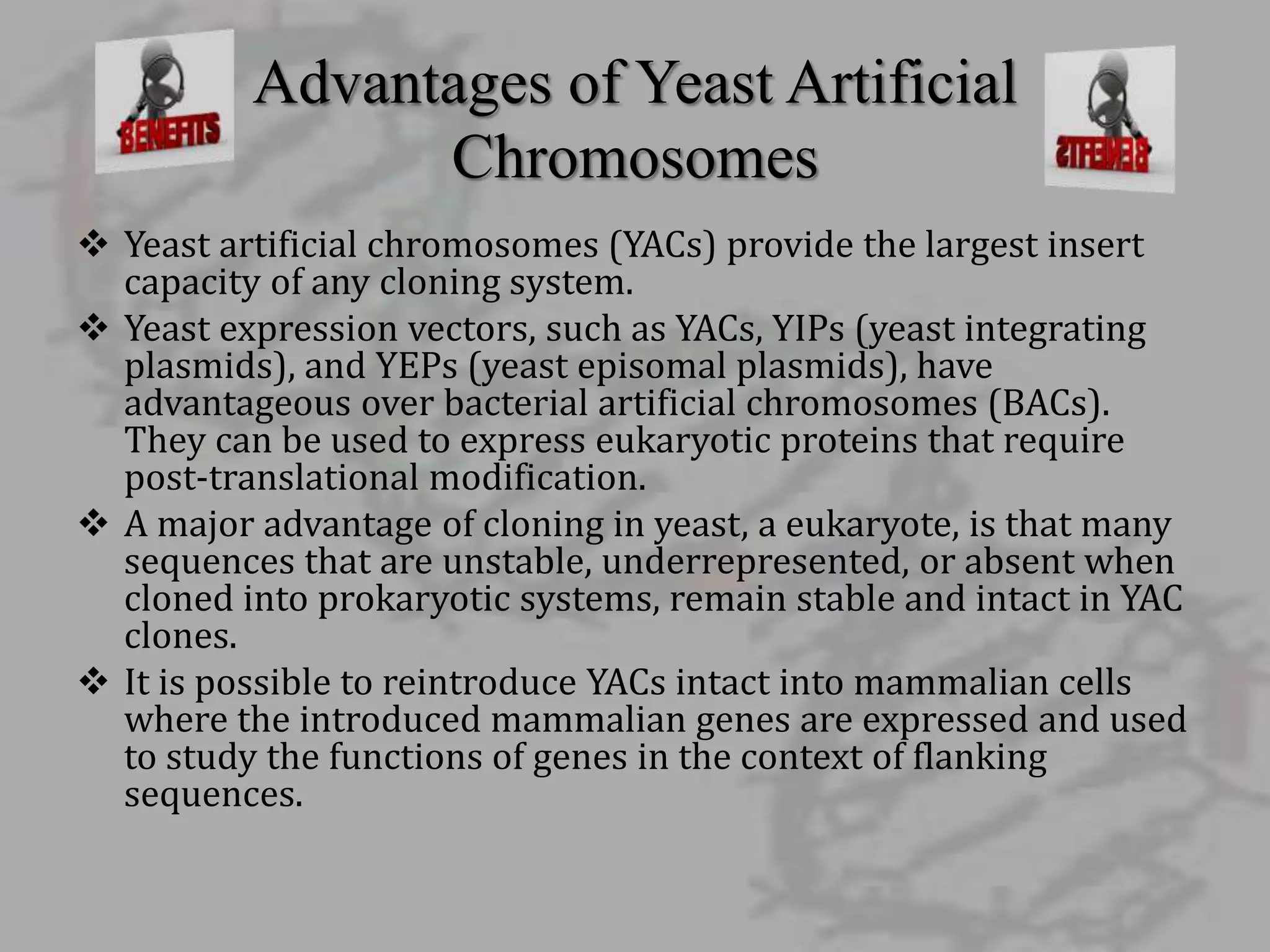 Artificial chromosomes - YAC and BAC | PPTX