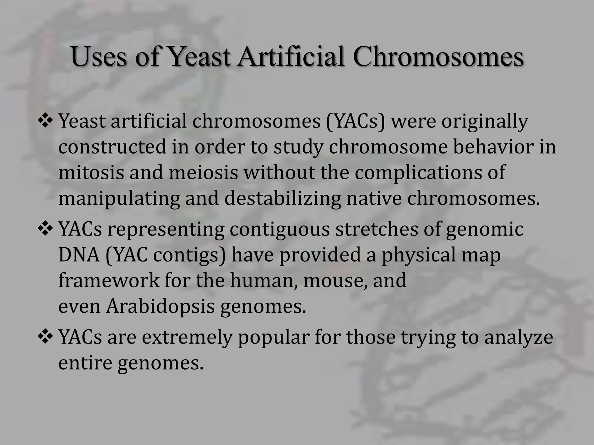 Artificial chromosomes - YAC and BAC | PPTX
