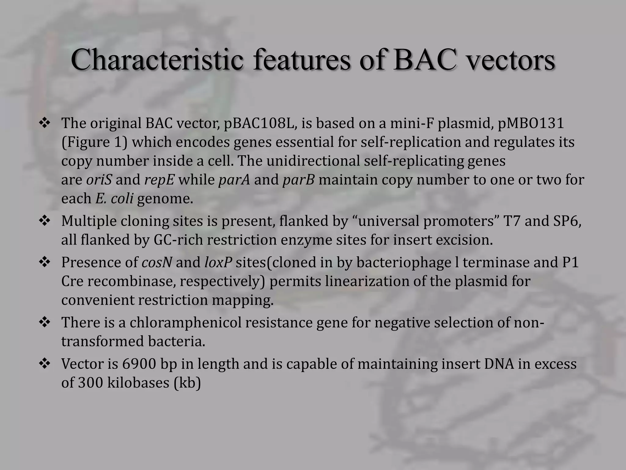 Artificial chromosomes - YAC and BAC | PPTX