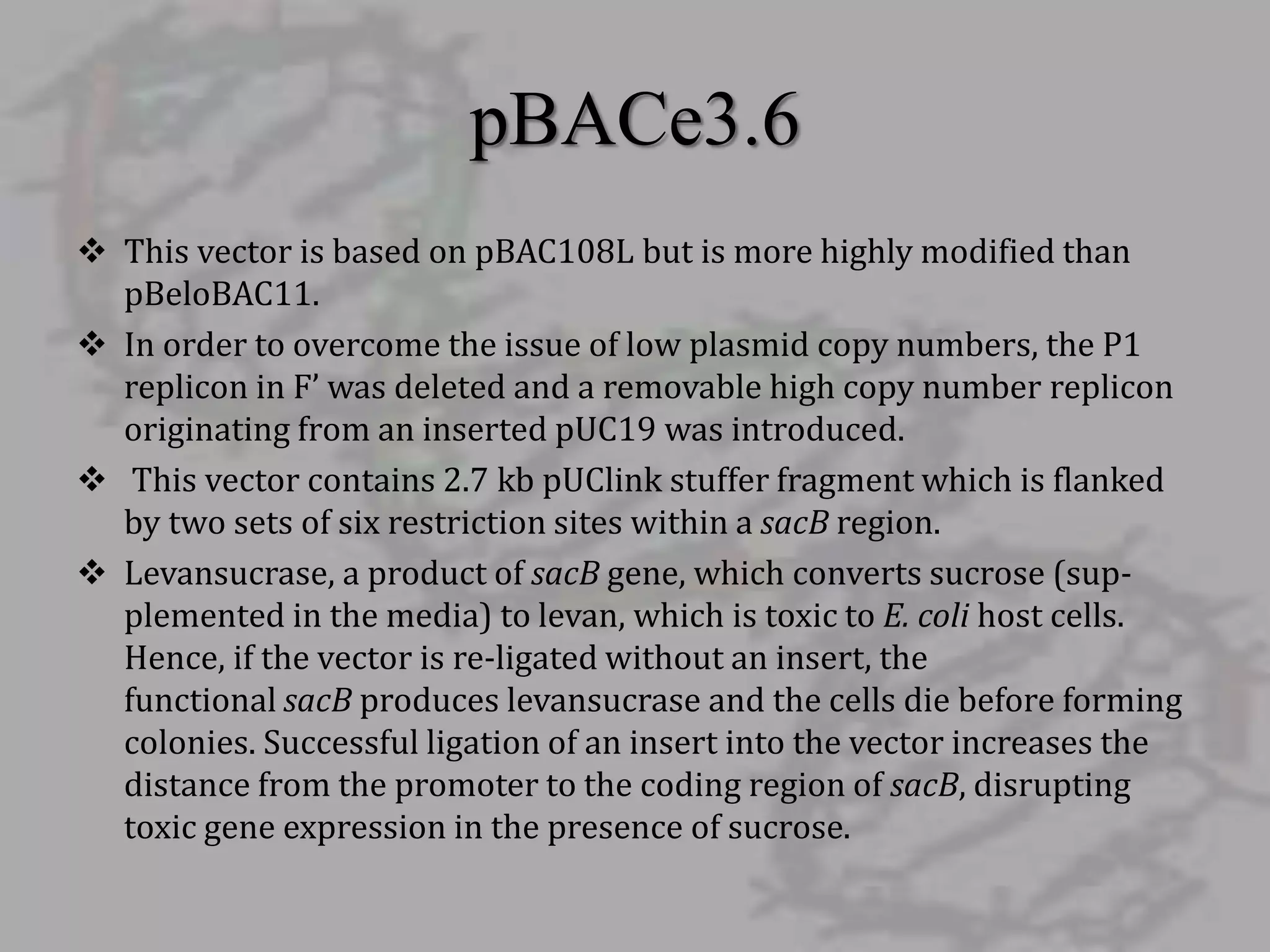 Artificial chromosomes - YAC and BAC | PPTX