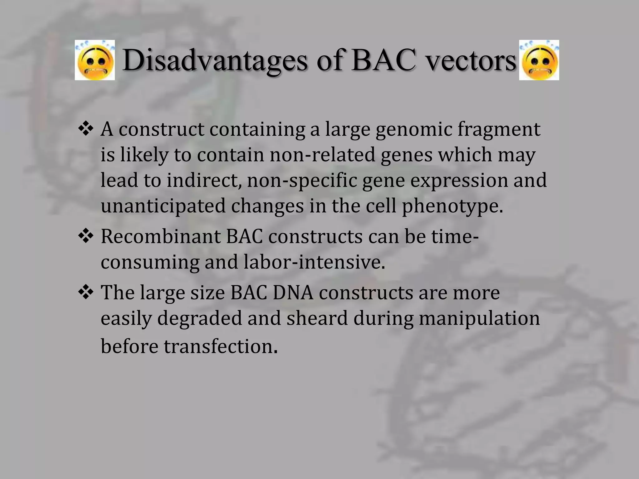 Artificial chromosomes - YAC and BAC | PPTX