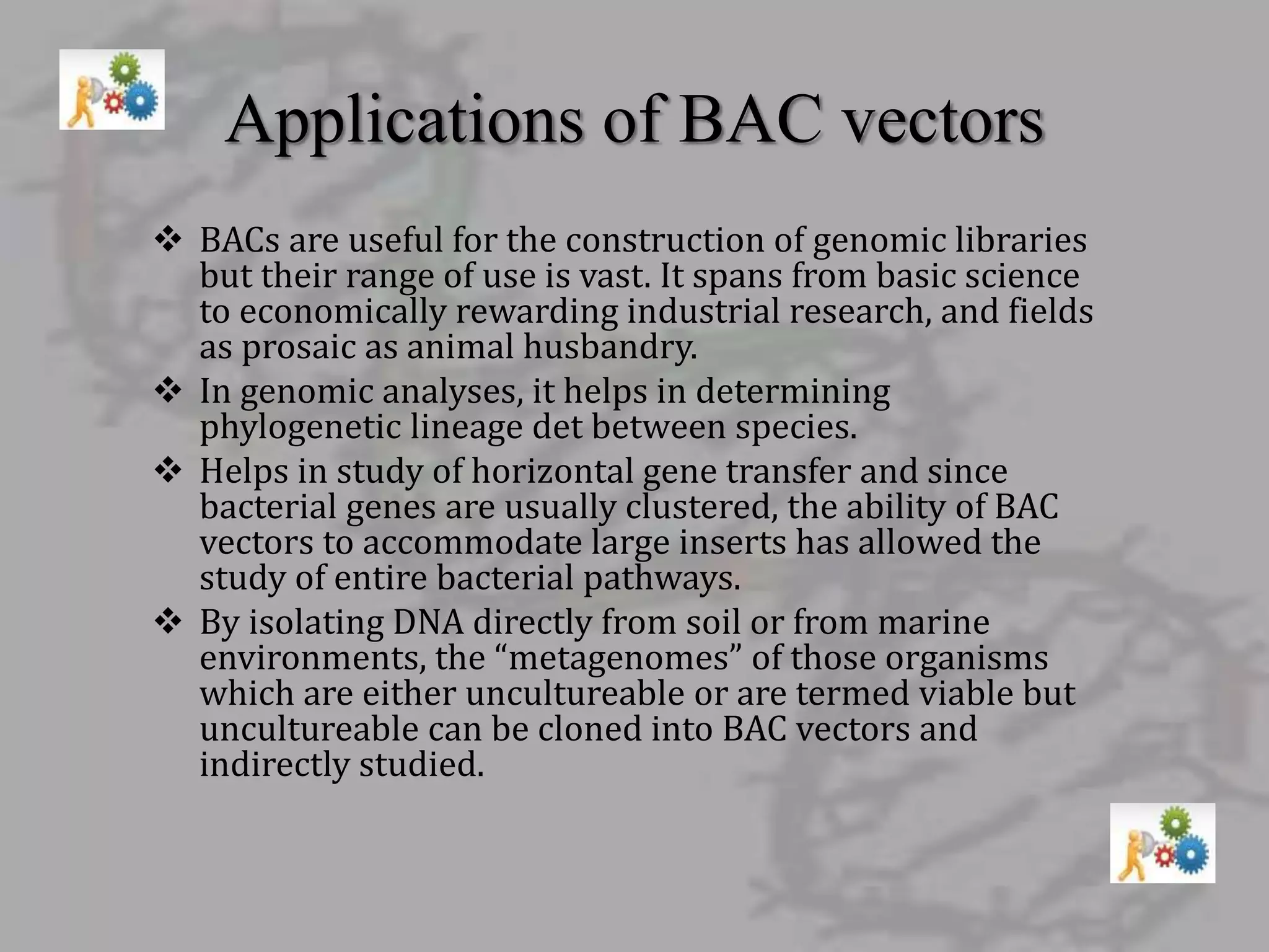Artificial chromosomes - YAC and BAC | PPTX