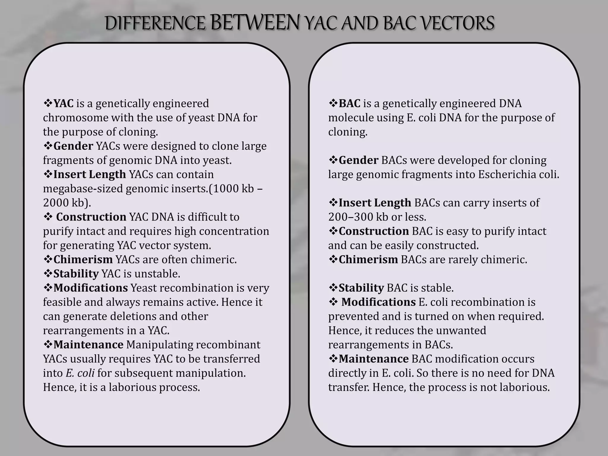 Artificial chromosomes - YAC and BAC | PPTX