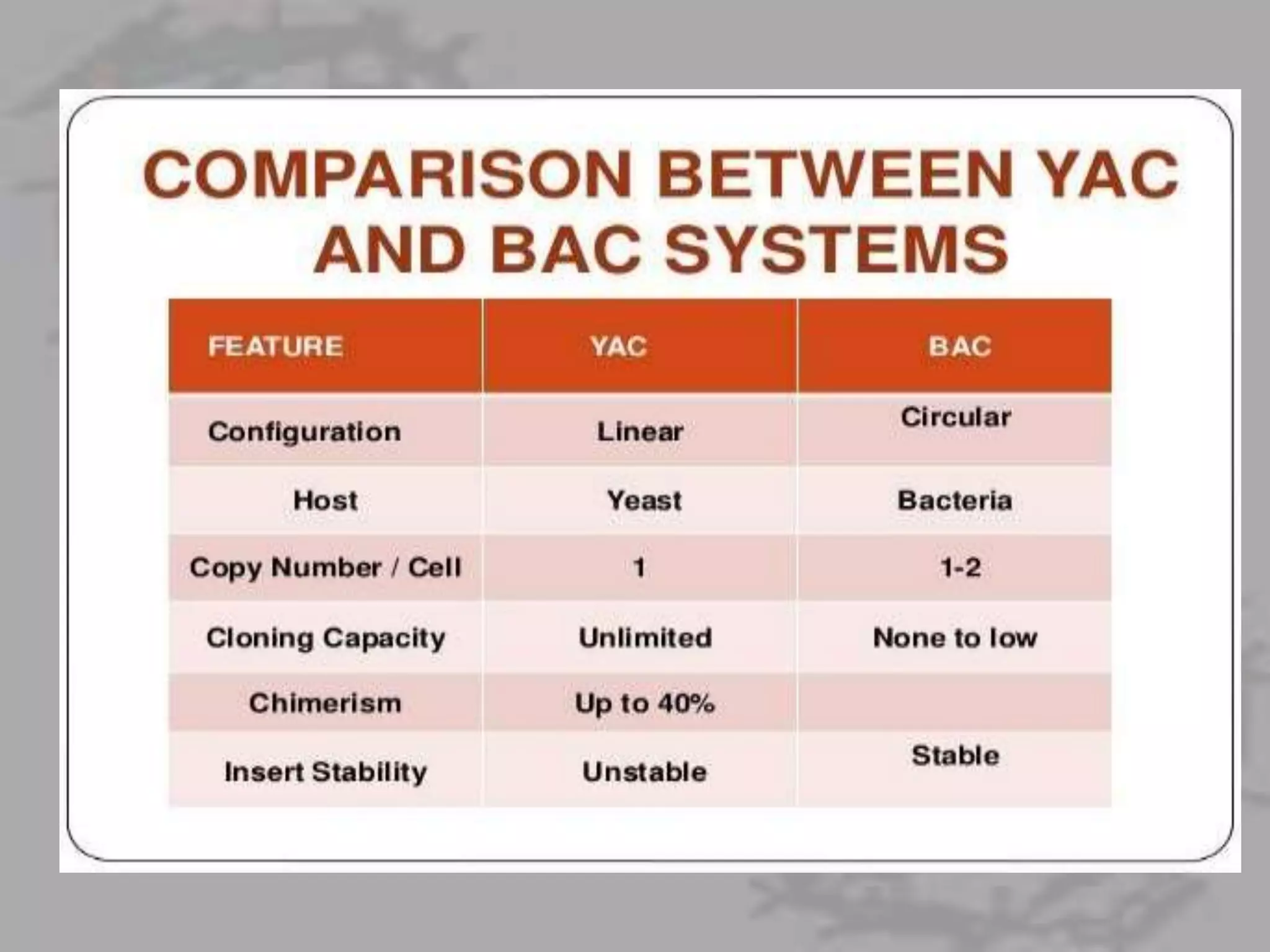 Artificial chromosomes - YAC and BAC | PPTX