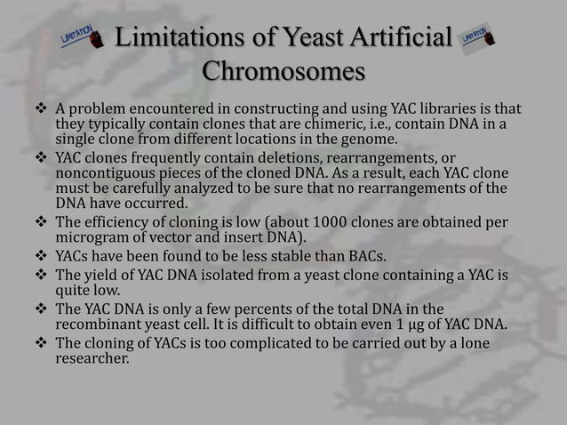 Artificial chromosomes - YAC and BAC | PPTX | Genetics | Science