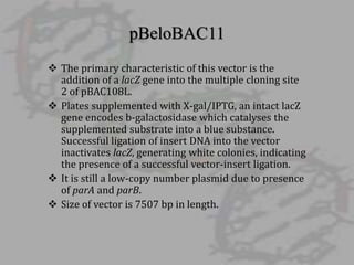 Artificial chromosomes - YAC and BAC | PPTX