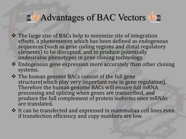Artificial chromosomes - YAC and BAC | PPTX | Genetics | Science
