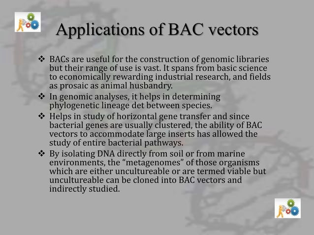 Artificial chromosomes - YAC and BAC | PPTX | Genetics | Science