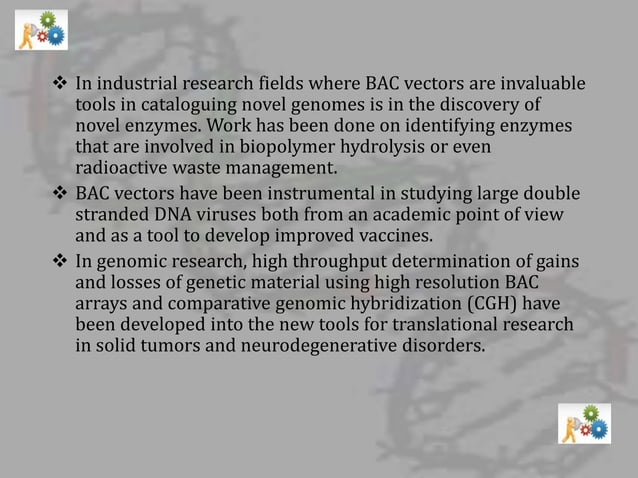 Artificial chromosomes - YAC and BAC | PPTX | Genetics | Science