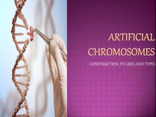 Artificial chromosomes | PPTX