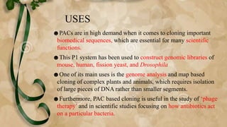 Artificial chromosomes | PPTX