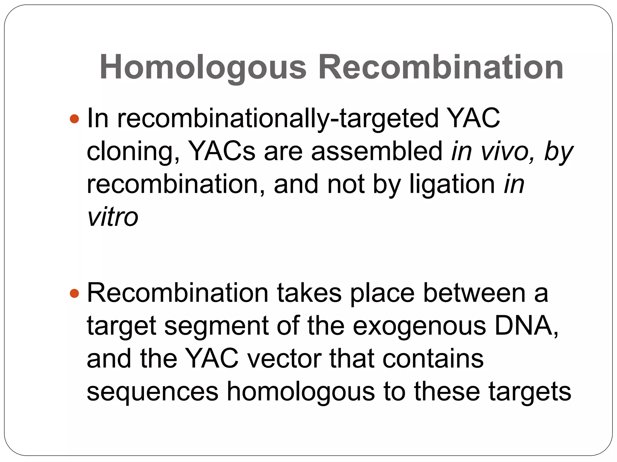 Yeast Artificial Chromosomes (YACs) | PPTX