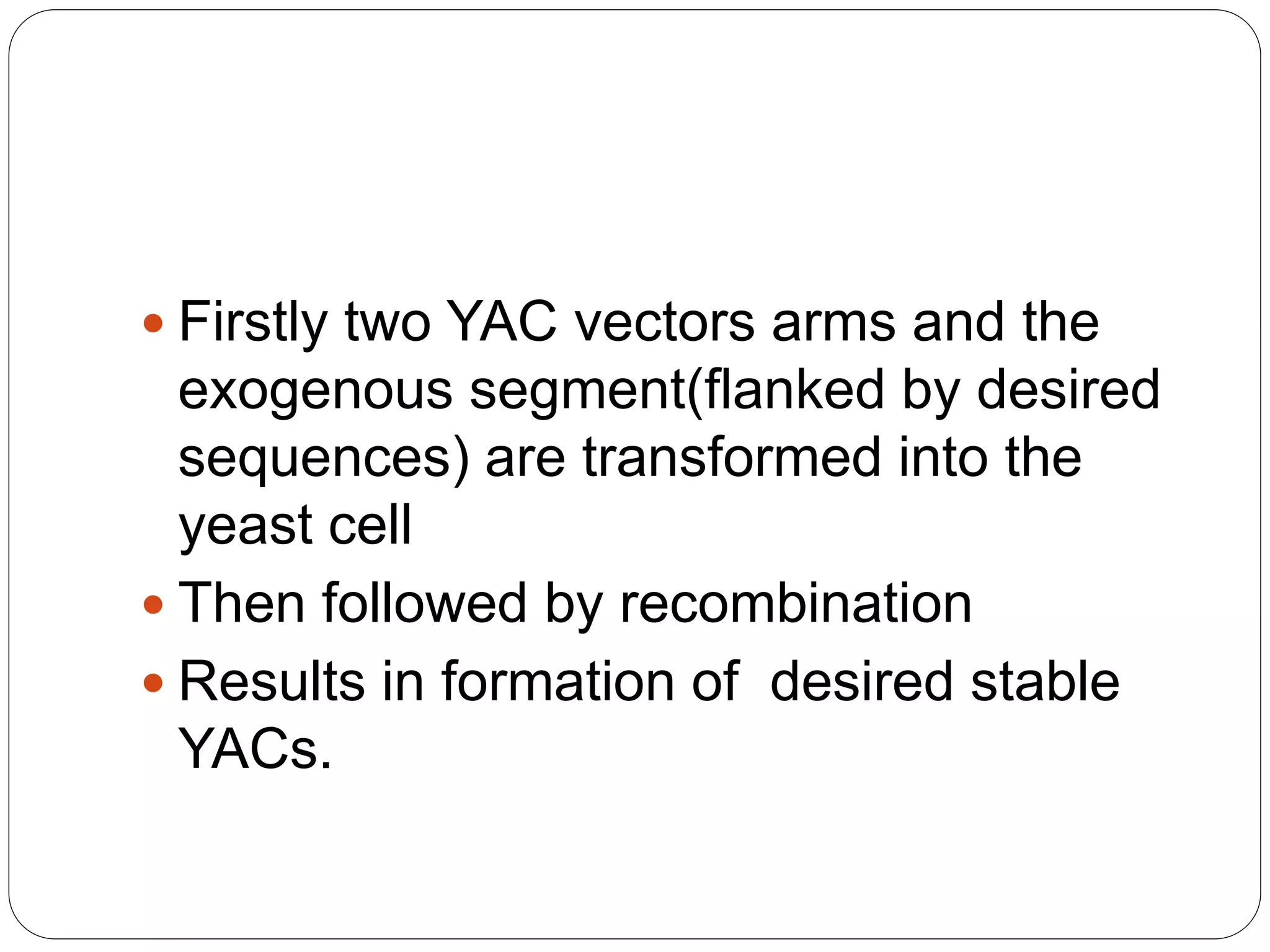 Yeast Artificial Chromosomes (YACs) | PPTX