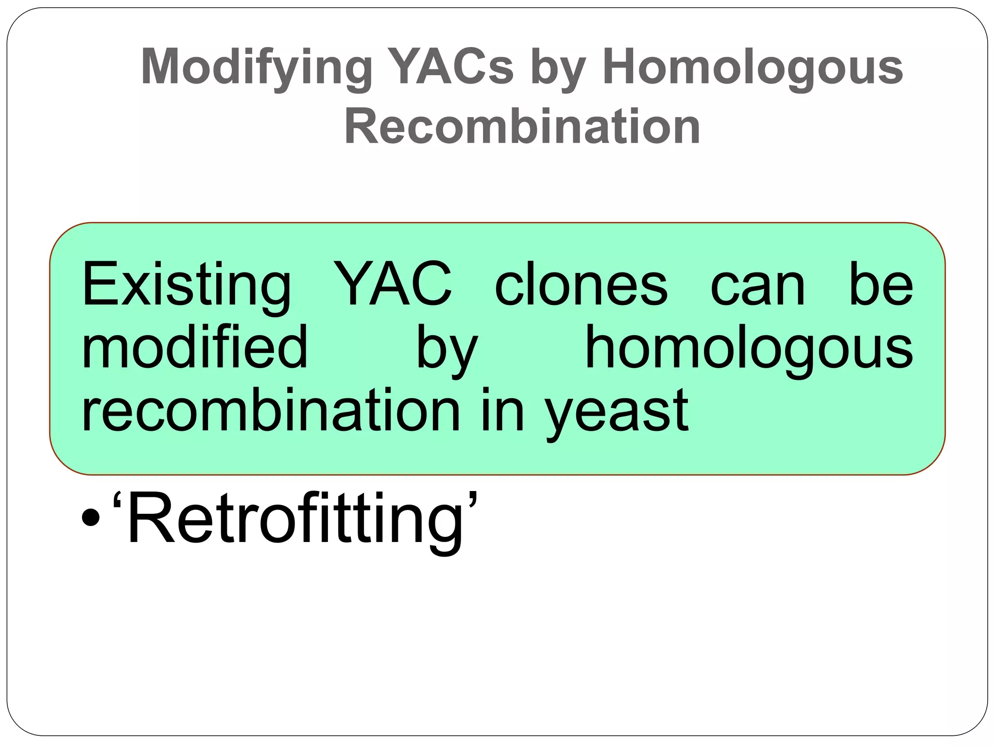 Yeast Artificial Chromosomes (YACs) | PPTX