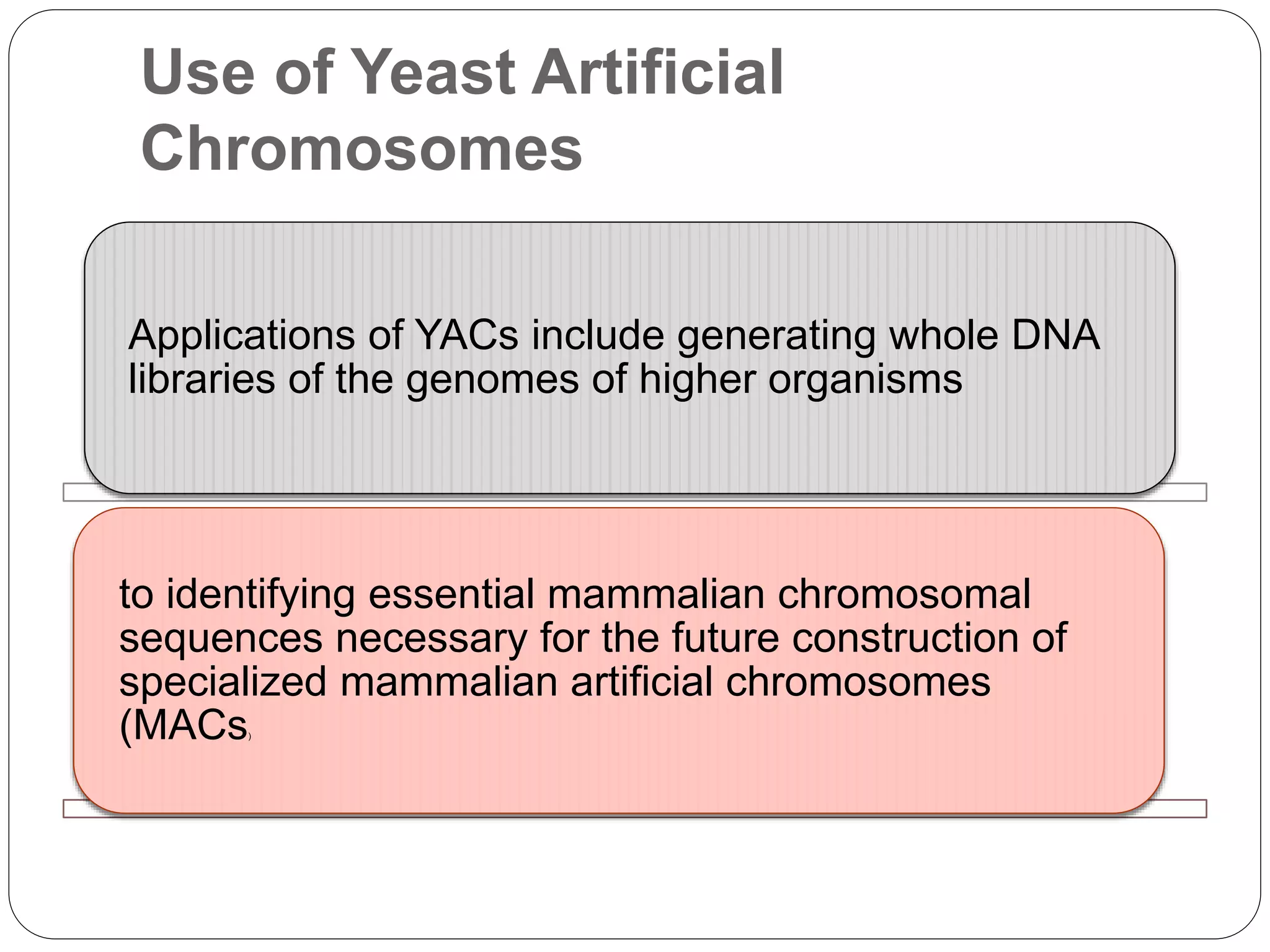 Yeast Artificial Chromosomes (YACs) | PPTX