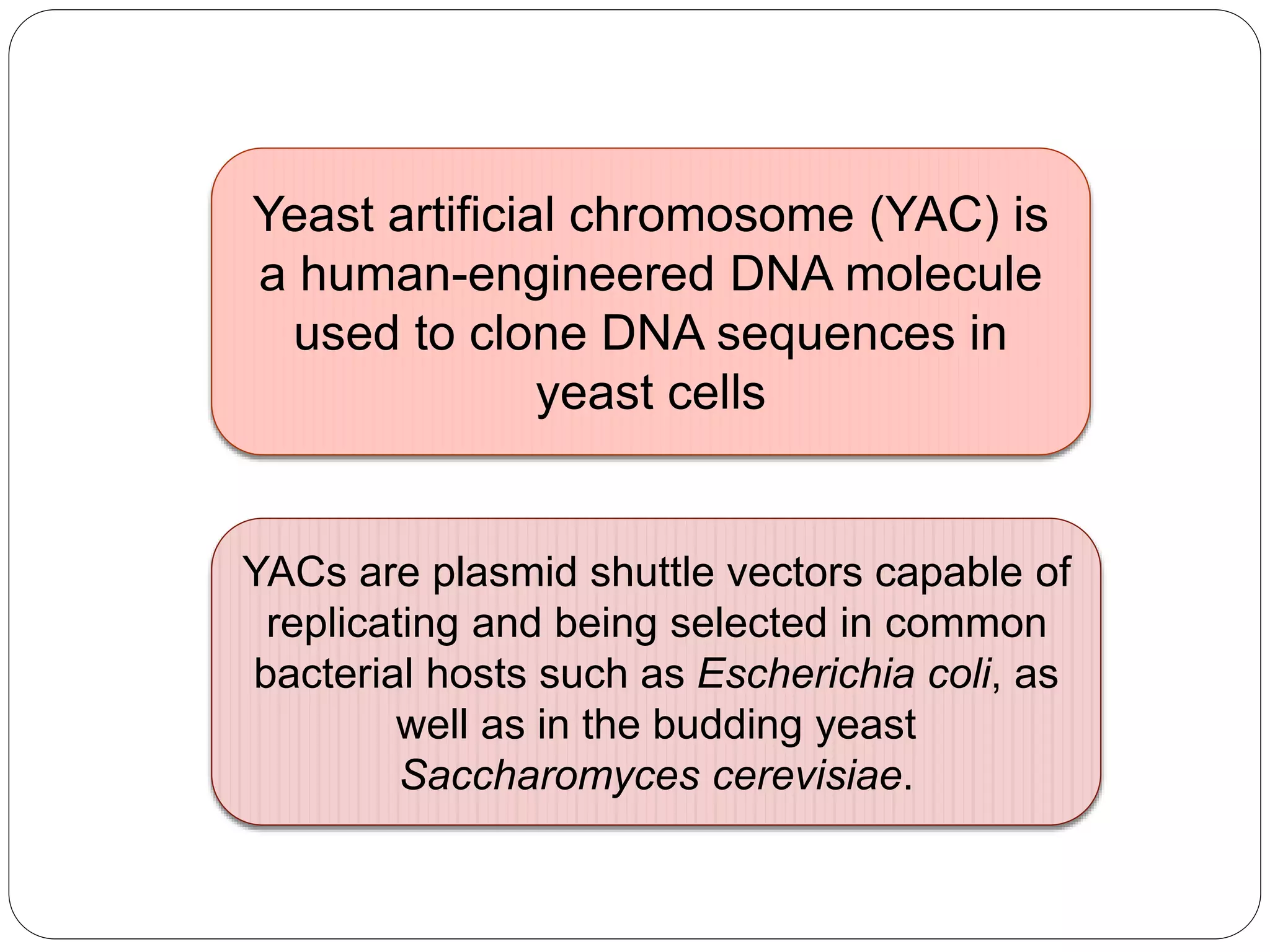 Yeast Artificial Chromosomes (YACs) | PPTX