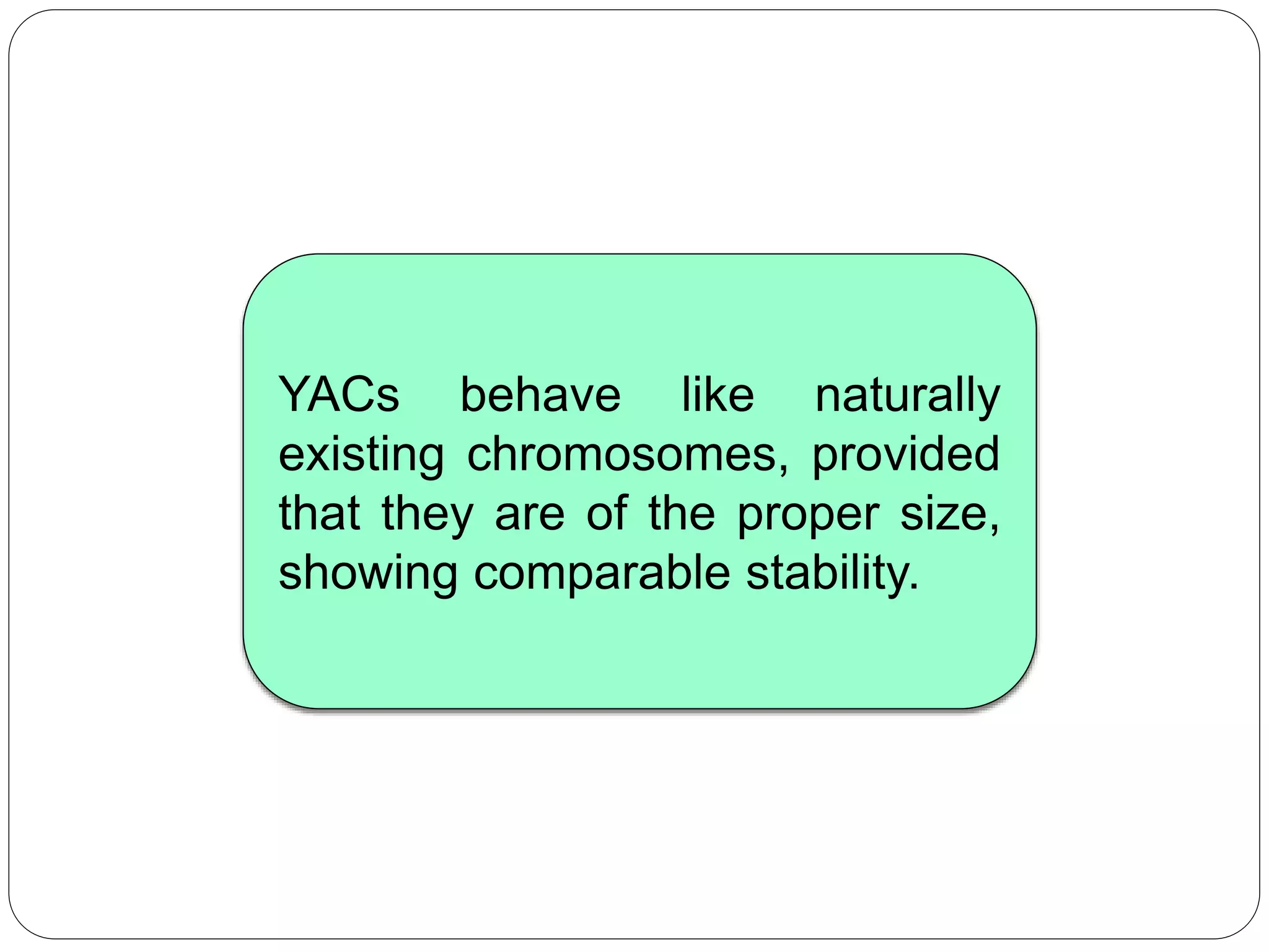 Yeast Artificial Chromosomes (YACs) | PPTX