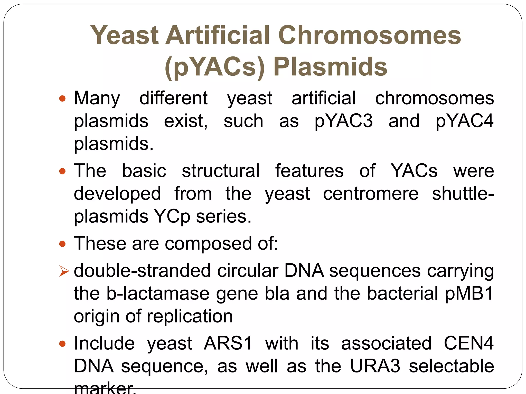 Yeast Artificial Chromosomes (YACs) | PPTX