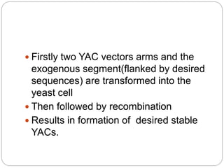 Yeast Artificial Chromosomes (YACs) | PPTX