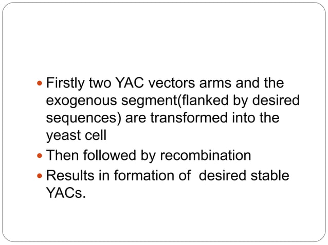 Yeast Artificial Chromosomes (YACs) | PPTX