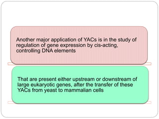 Yeast Artificial Chromosomes (YACs) | PPTX