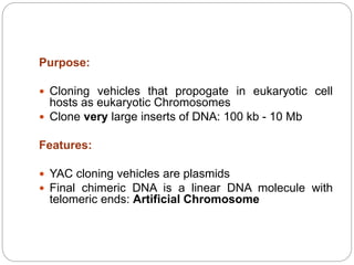 Yeast Artificial Chromosomes (YACs) | PPTX