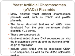 Yeast Artificial Chromosomes (YACs) | PPTX
