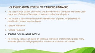 Artificial classification system | PPTX