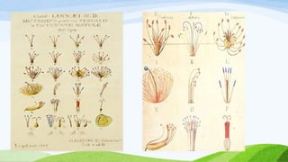 Artificial classification system | PDF