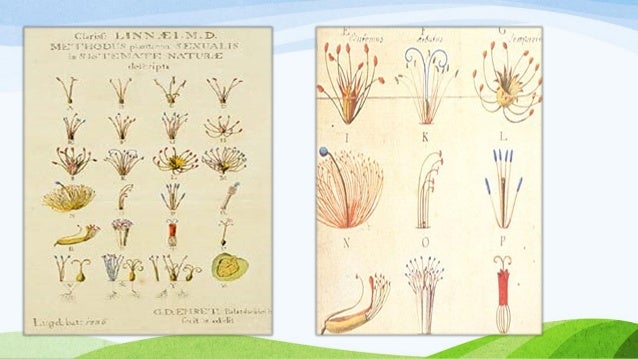 Artificial classification system