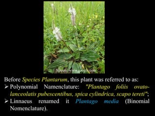 artificial classification system-caroluslinneaus-200413113450.pdf