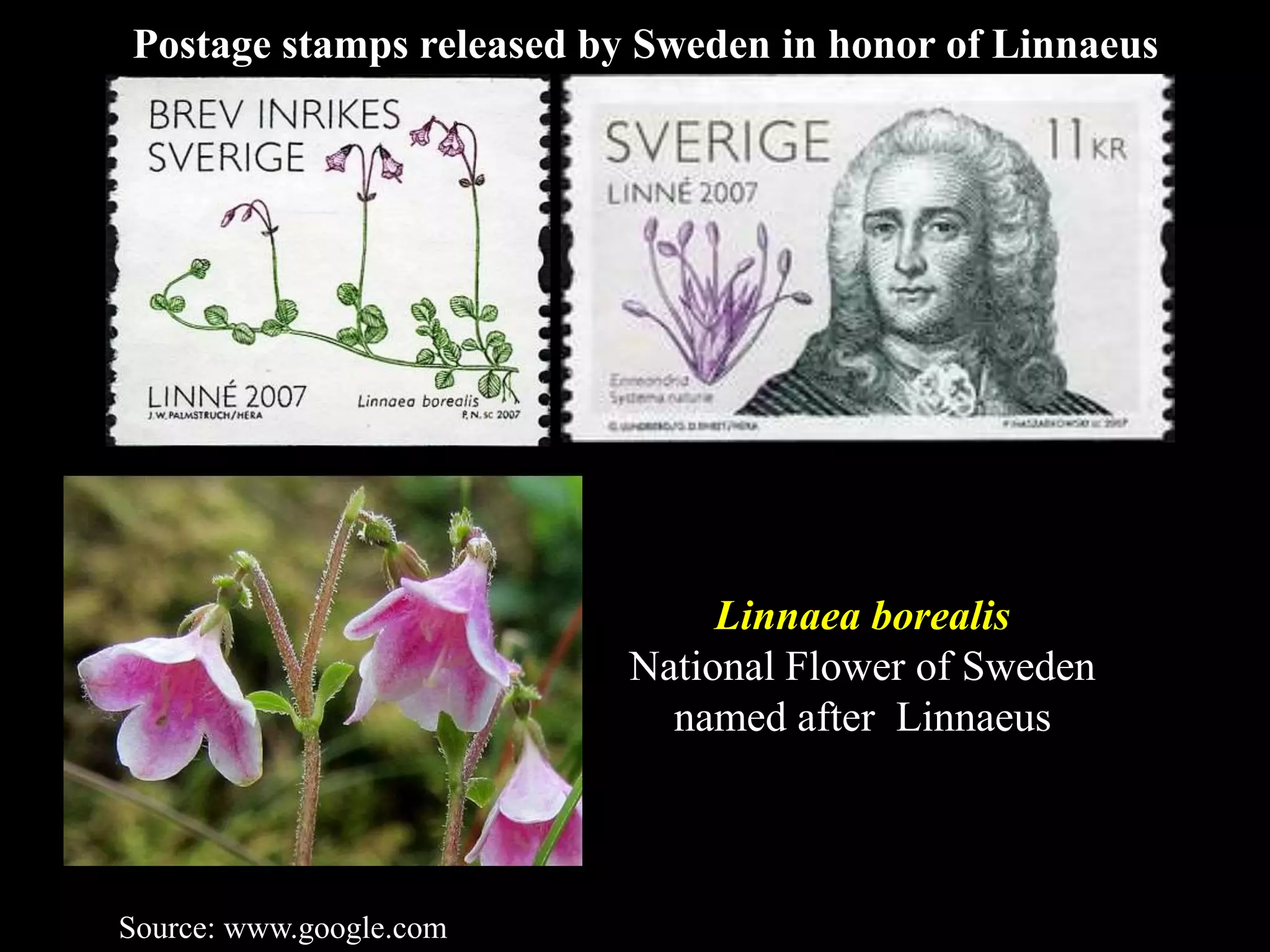 Artificial classification system- Carolus Linneaus | PPT