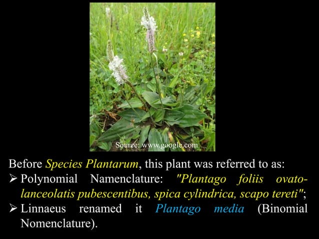 Artificial classification system- Carolus Linneaus | PPT | Gardening ...