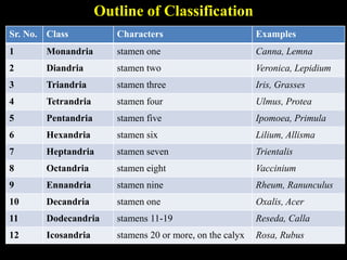 Artificial classification system- Carolus Linneaus | PPT