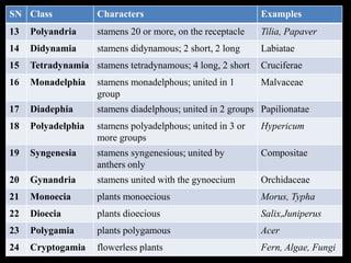 Artificial classification system- Carolus Linneaus | PPT