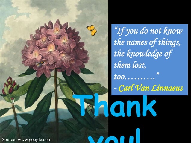 Artificial classification system- Carolus Linneaus | PPT | Gardening ...