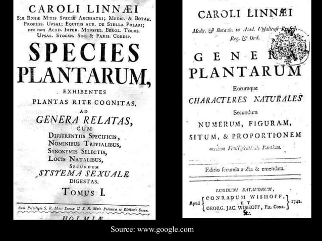 Artificial classification system- Carolus Linneaus | PPT | Gardening ...