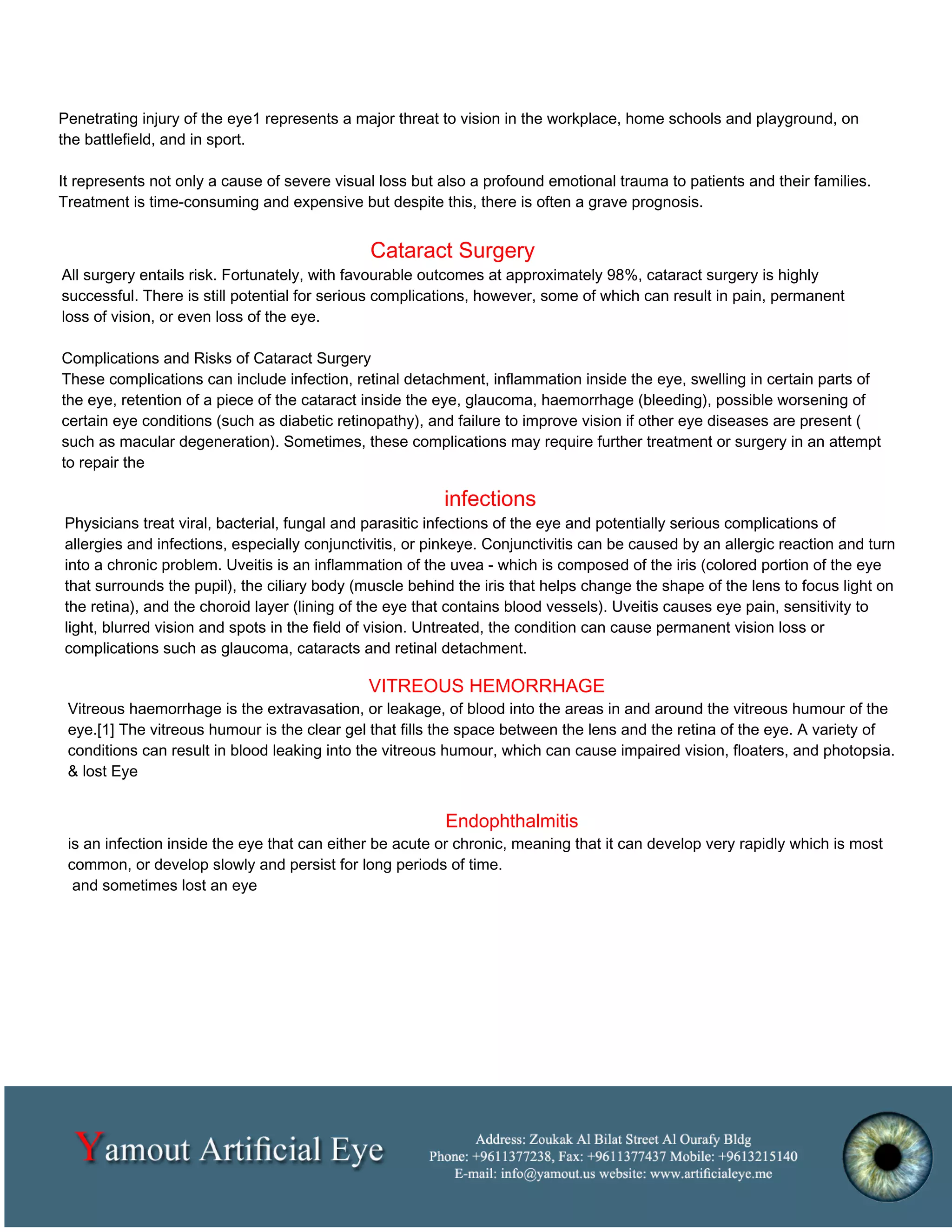 Yamout Artificial eye | PDF